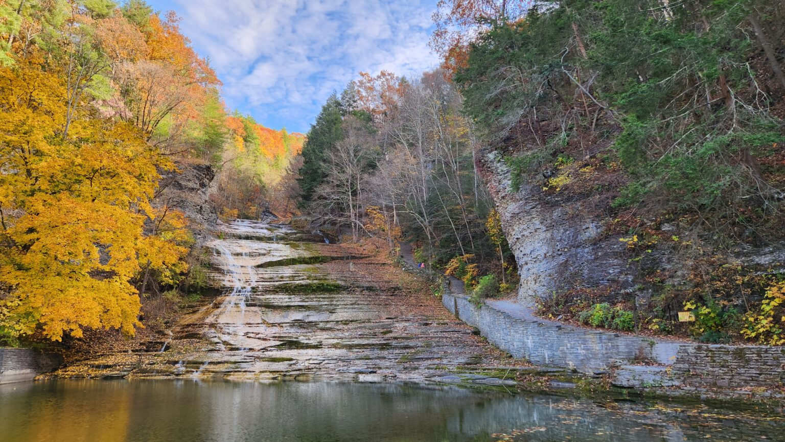 Discovering Nature – The more you look, the more you see.